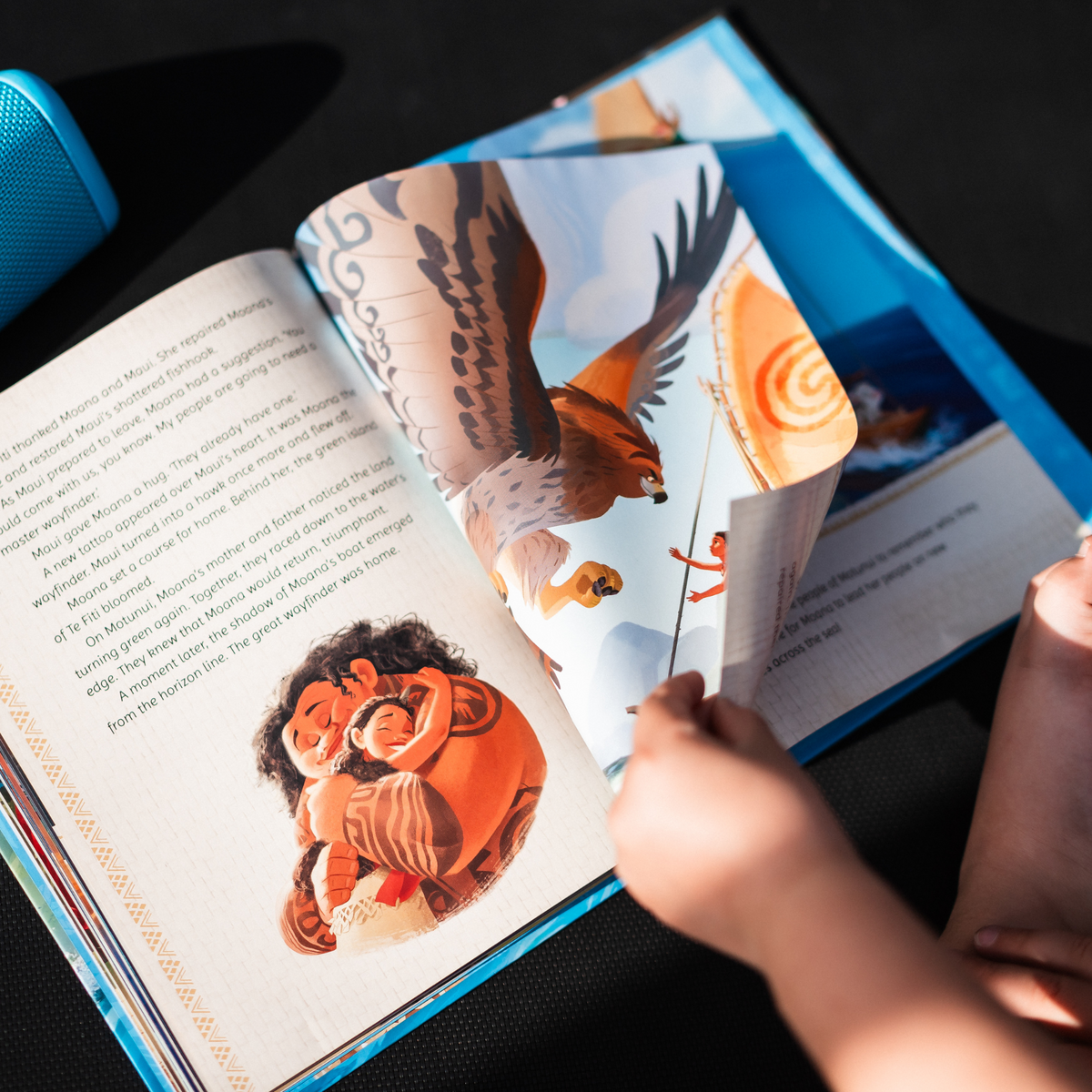 Disney Moana – birde.co